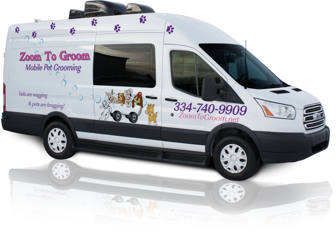 Services | Zoom to Groom Mobile Pet Grooming